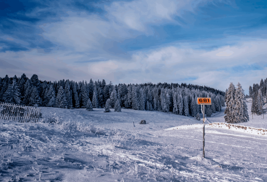 Trade and network - Gaznat